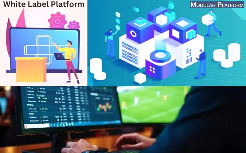 Modular platforms vs. White label solutions: What’s the best option for ...